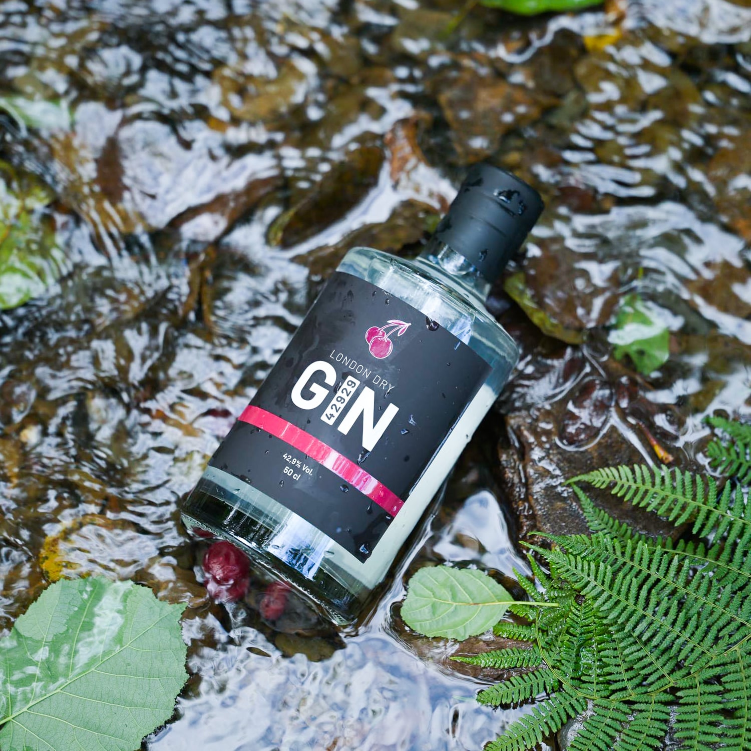 GIN42929 – Exklusiver Gin für Much